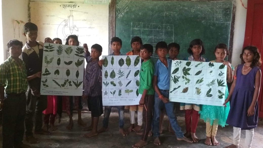 NGO For Children - Eklavya | Eklavya Children Books, Toys & Kits